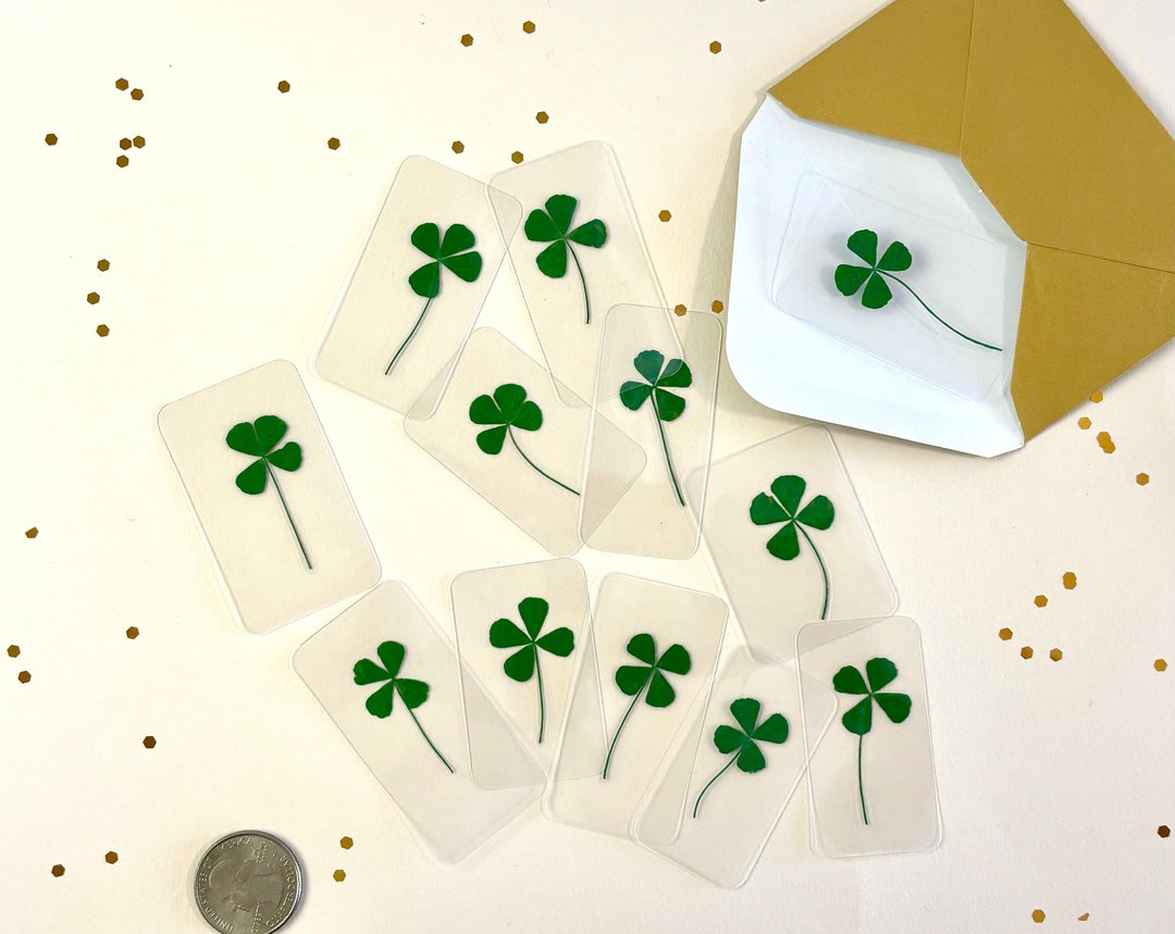 3 SIZES: Real Four Leaf Clover Laminated, Enveloped Included - Genuine ...