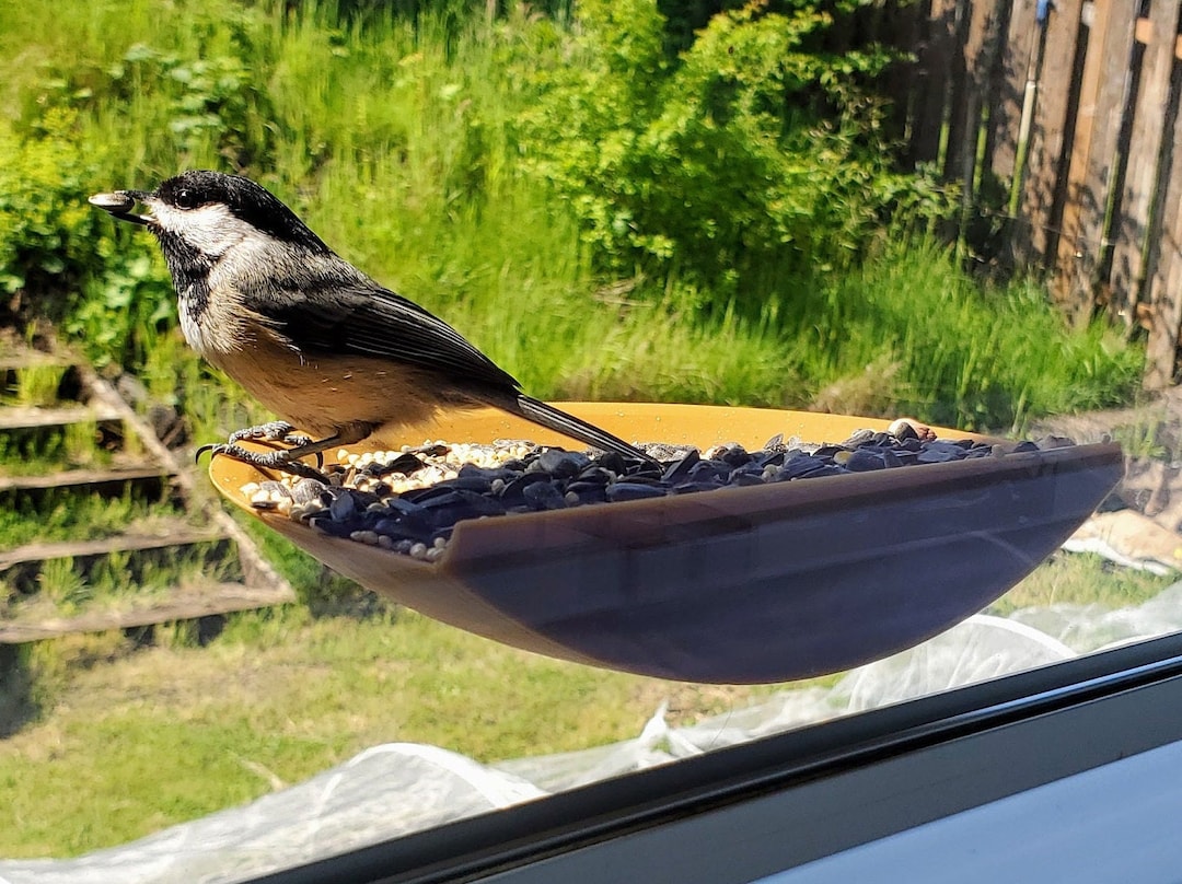 Window Mounted Bird Feeder – Canopy Café, 3D Printed - Etsy