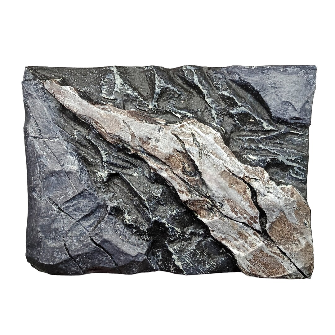 Realistic 3D Background for Aquarium. Suitable for Reptile Tank ...