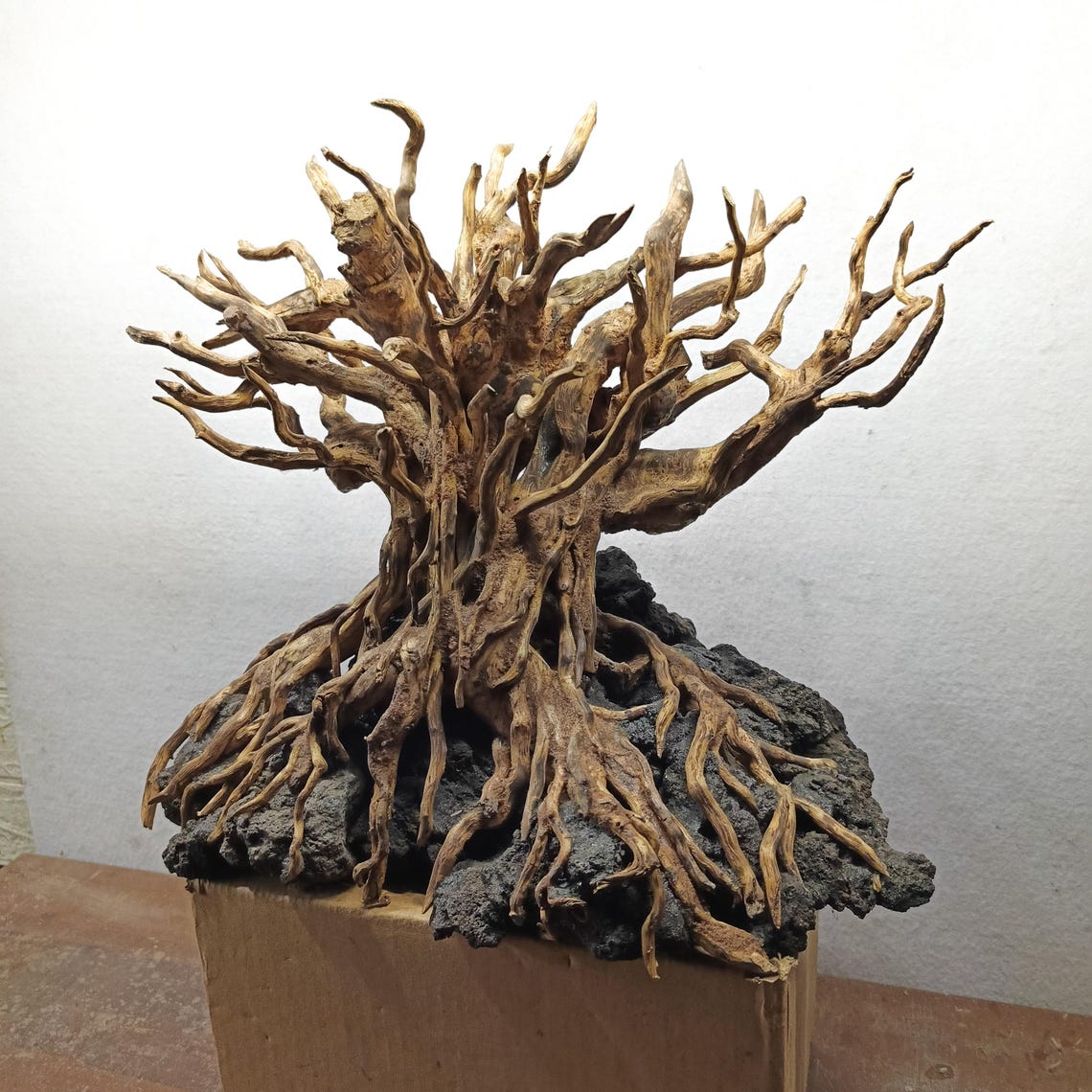 Natural Driftwood Stump, Bonsai Tree Stump, Natural Driftwood, Fish ...