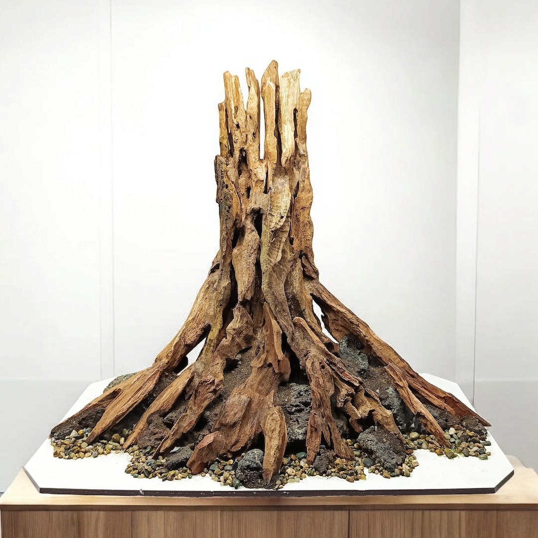 Large Aquarium Driftwood Tree Stump | Betta Fish Tank & Shrimp ...