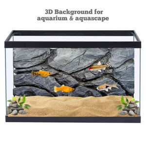 Realistic 3D Background for Aquarium. Suitable for Reptile Tank ...
