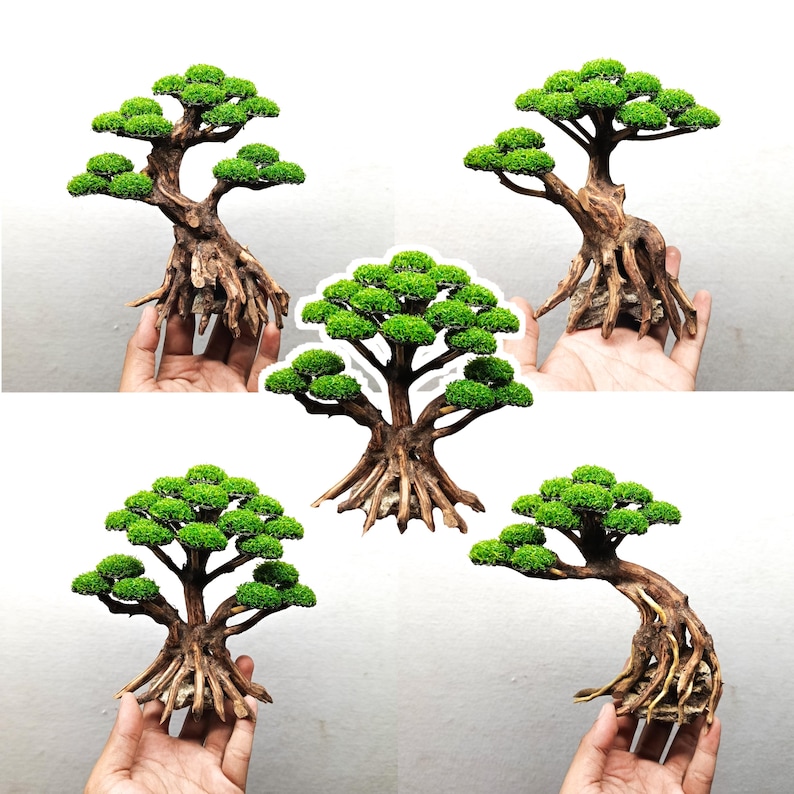 Small Bonsai Tree Aquarium 15cm, Bonsai Driftwood, Bonsai for Aquascape ...