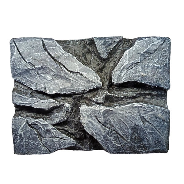 Terrarium Background - Etsy