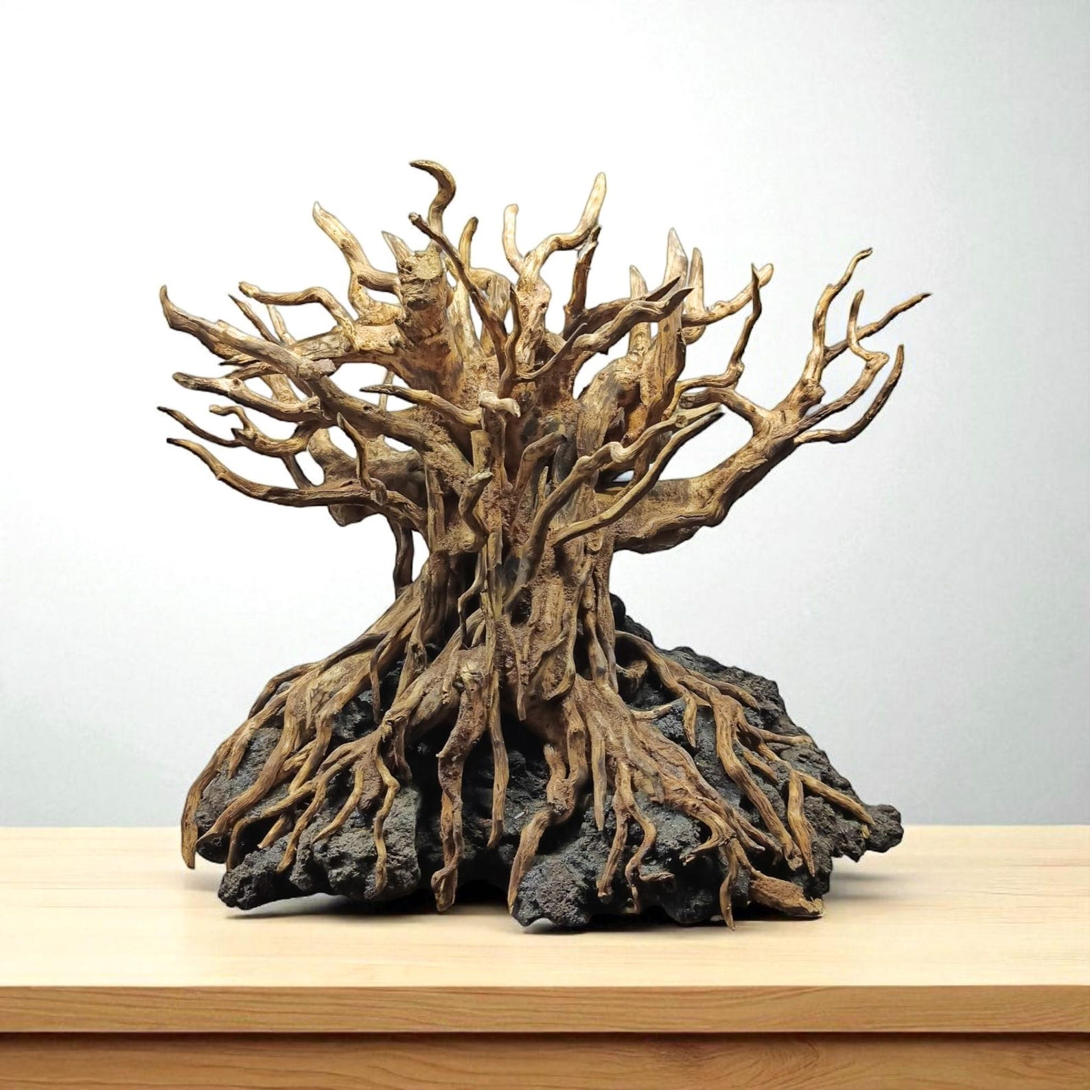 Natural Driftwood Stump, Bonsai Tree Stump, Natural Driftwood, Fish ...