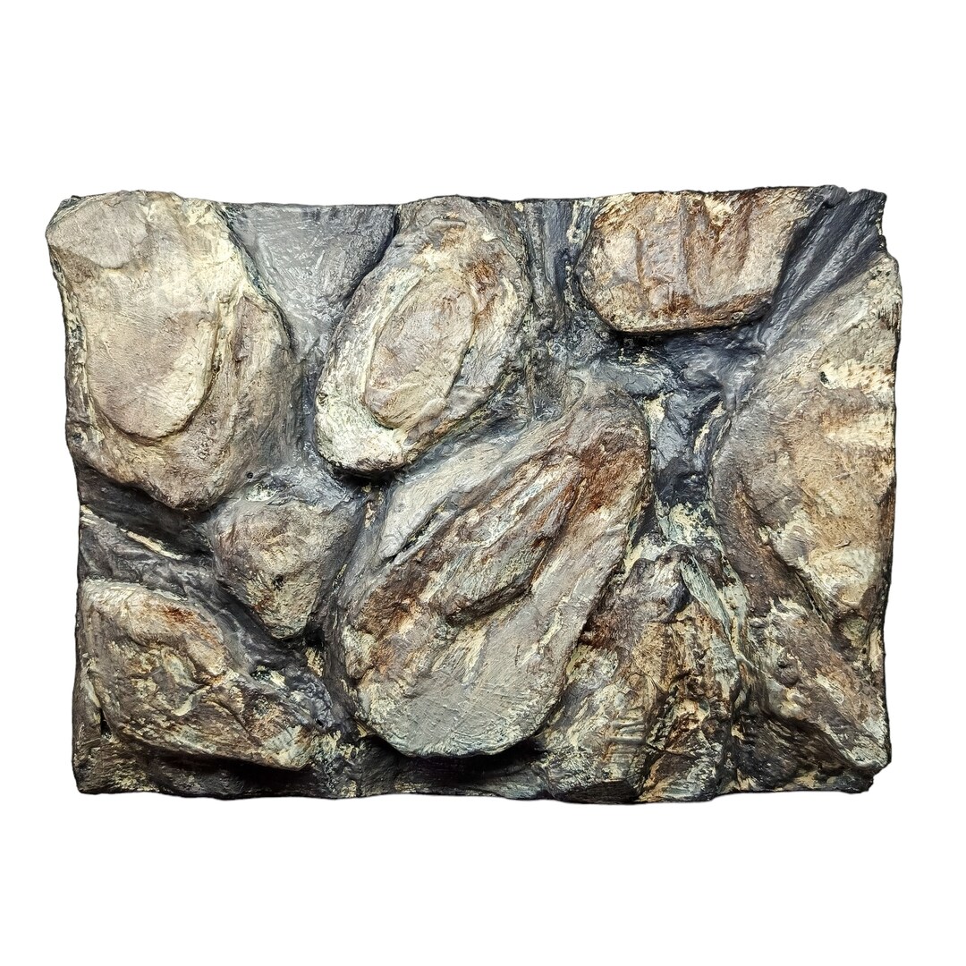 Realistic 3D Background for Aquarium. Suitable for Reptile Tank ...