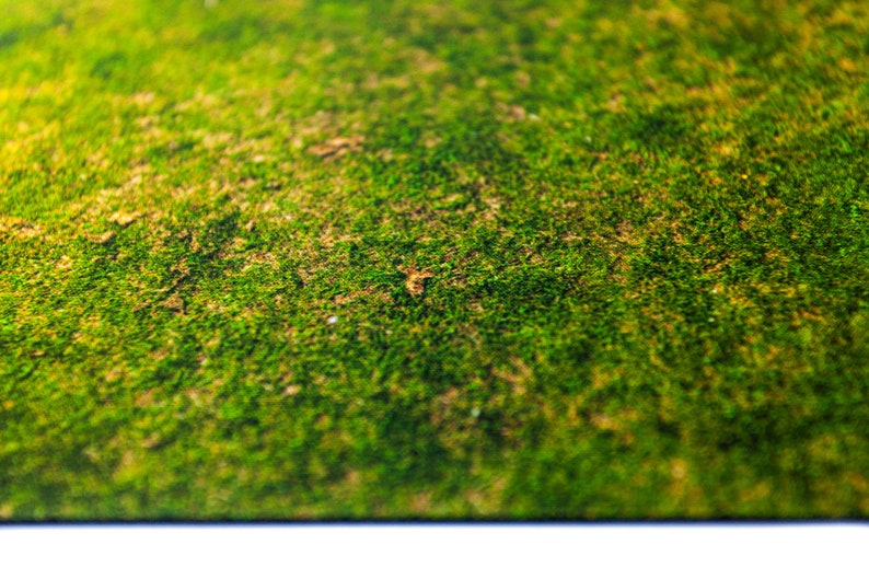 Rubber Mat for Bolt Action Universal Grass 72x48 - Etsy