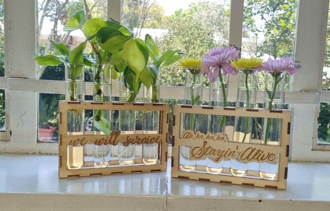 Digital Download - Lightburn Files Plant Propagation Stations - Etsy