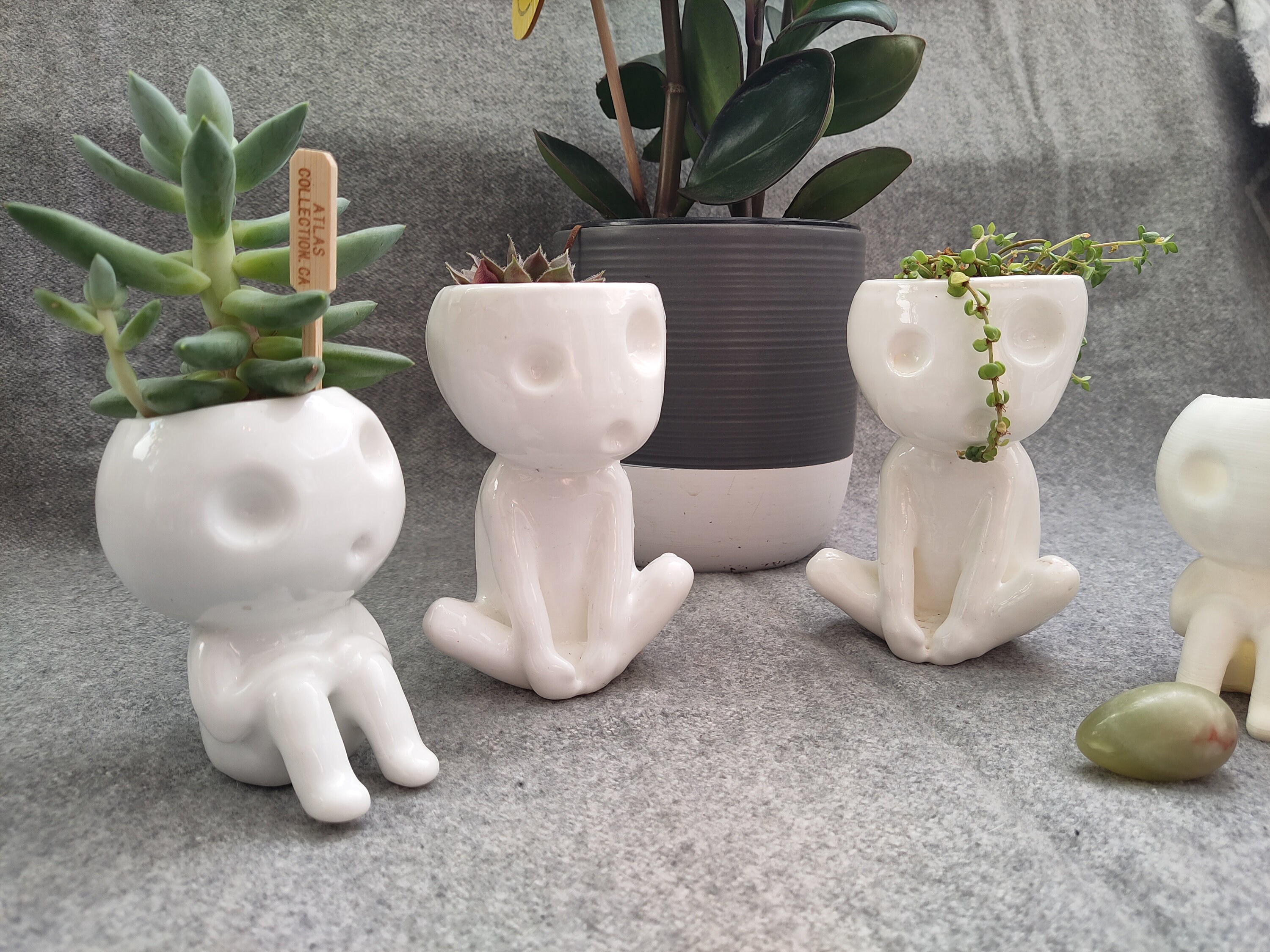 Kodama Planters | Etsy