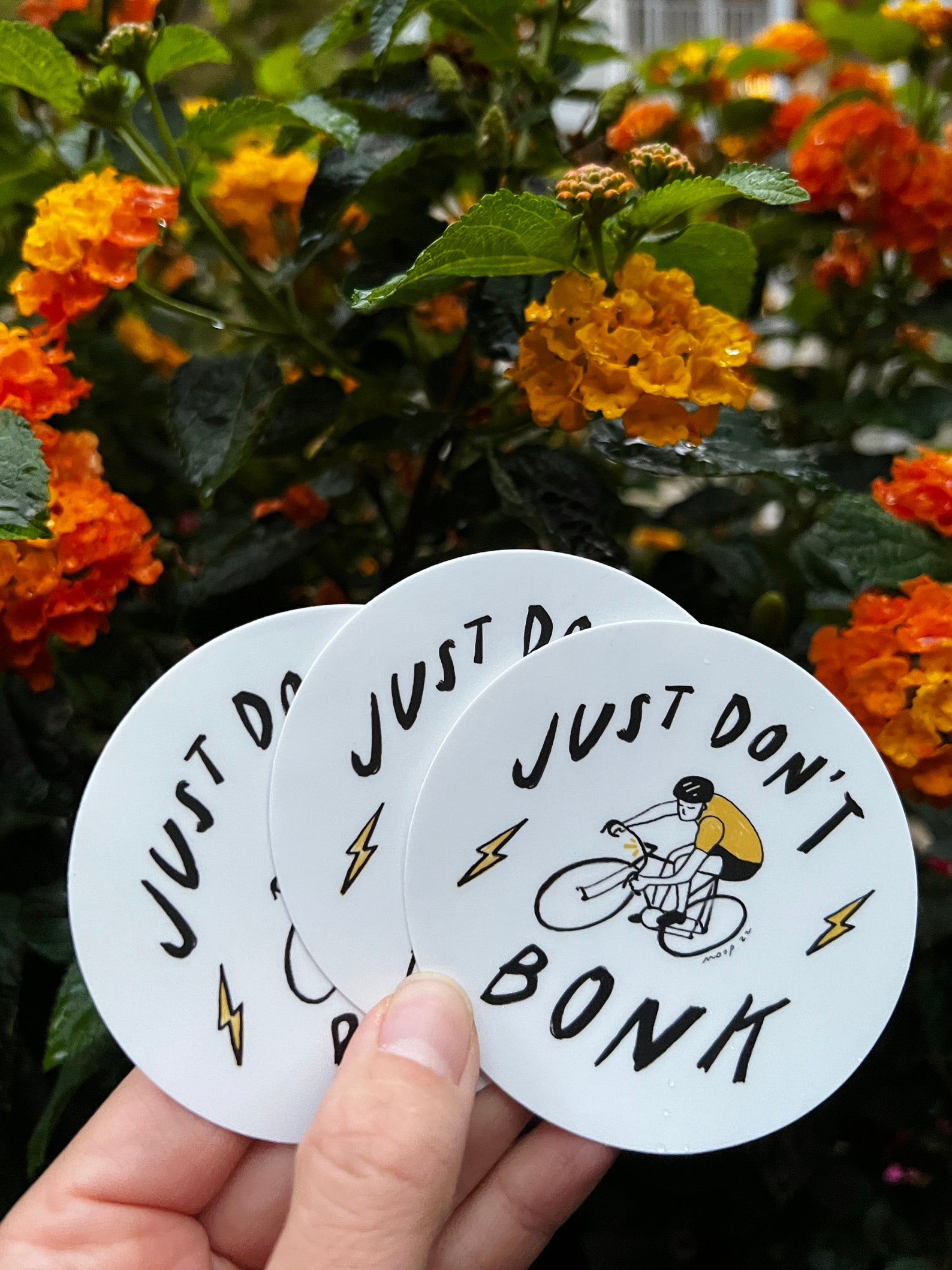Just Don't Bonk Sticker // Decal for Bikes, Bottles, Cars, Laptops - Etsy