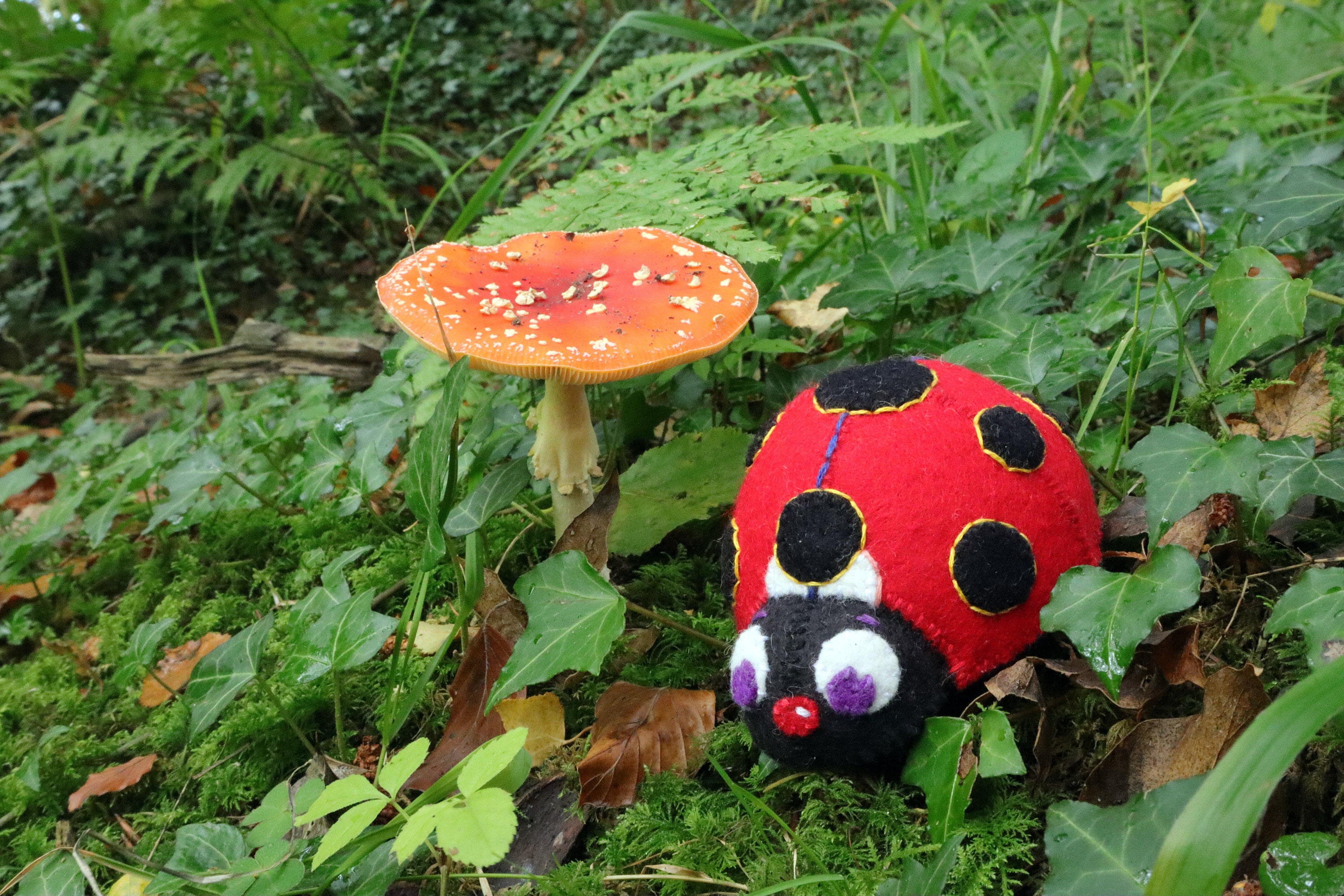 Ladybird Pincushion PDF Pattern - Etsy