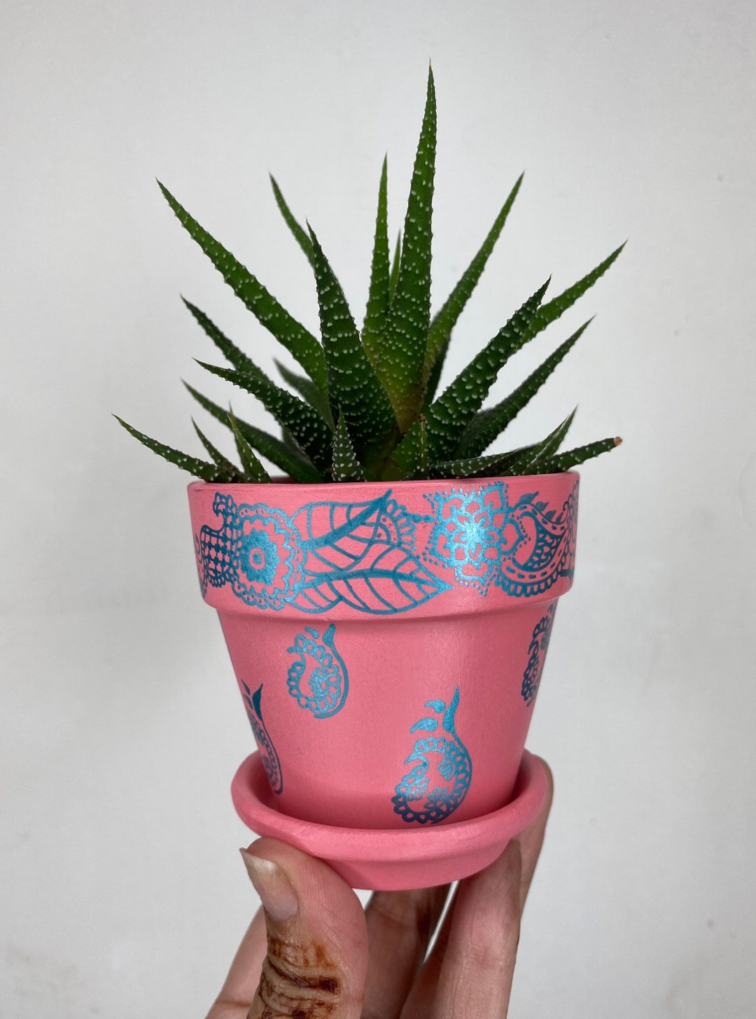 Hand Painted Pot. Henna Inspired Design! Cute Pot for Succulent and ...