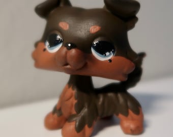 Lps Custom Collie - Etsy