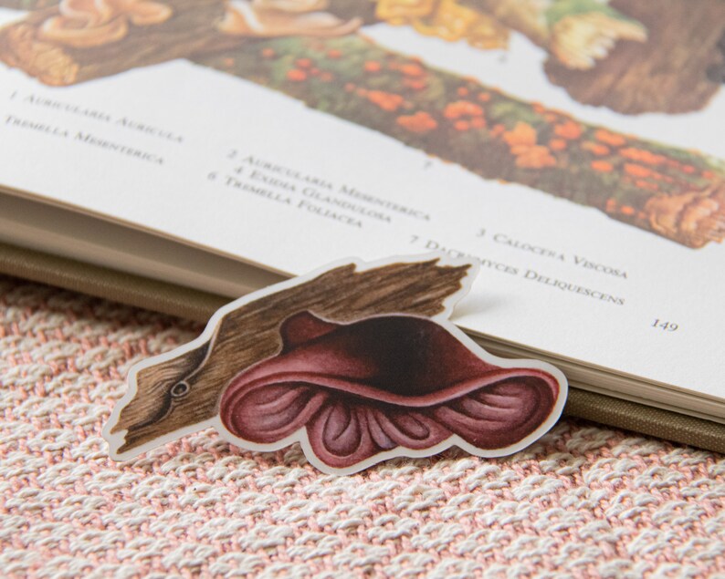 Wood Ear / Jelly Ear Vinyl Sticker - Etsy
