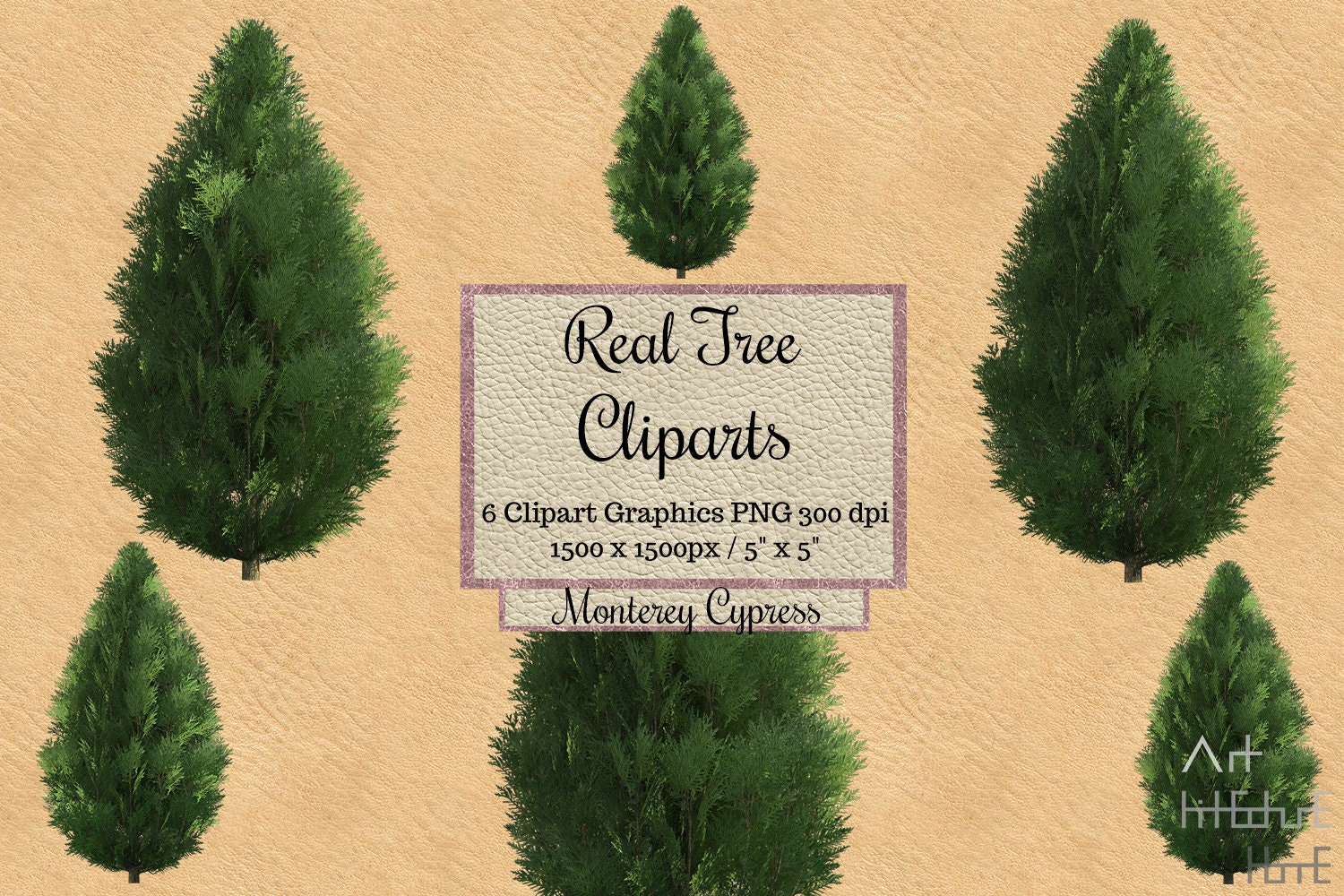 48 Real Tree Cliparts Png Transparent Overlay Background, Spring Trees ...