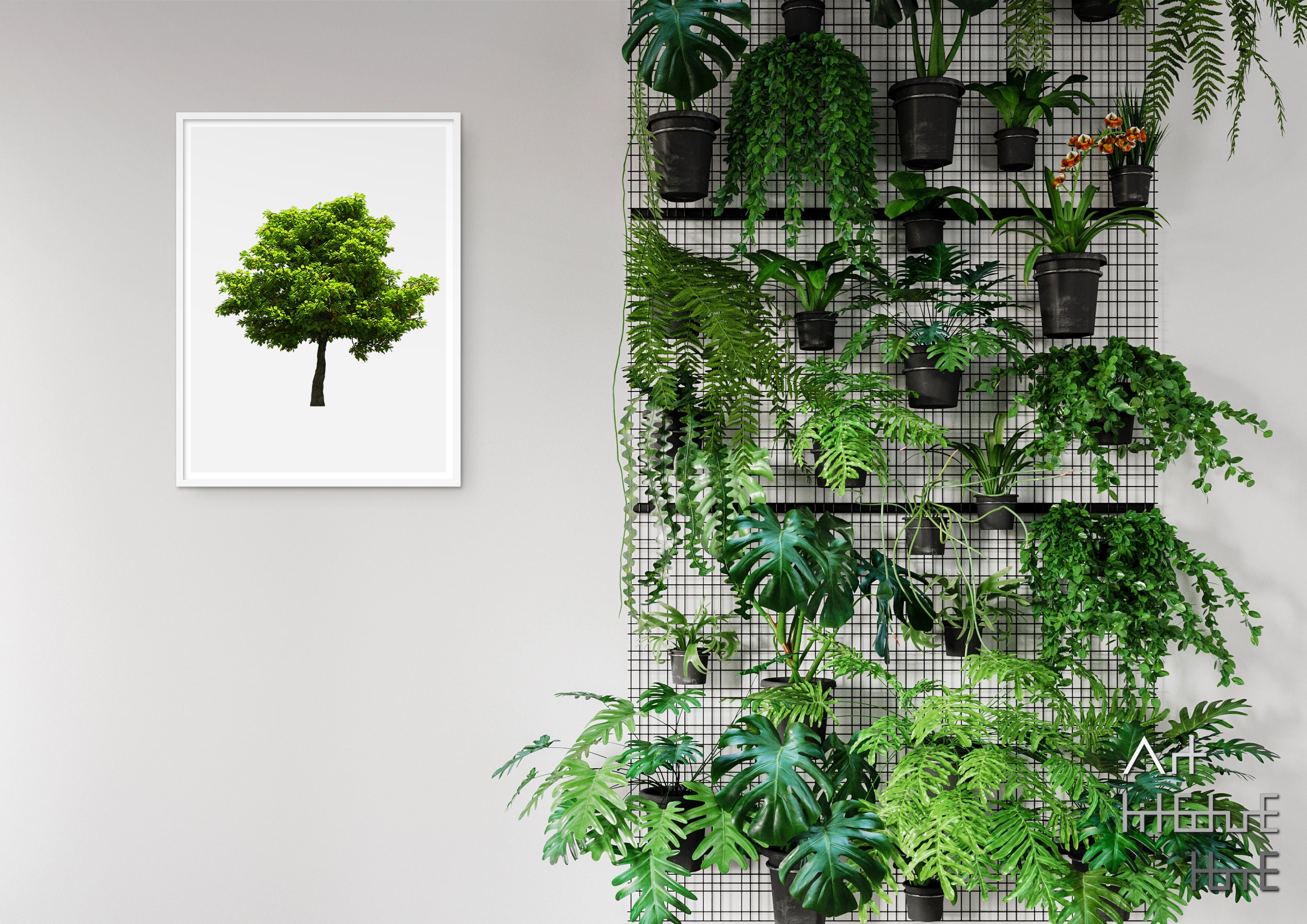 Real Leichhardt Pine Tree Cliparts, Tree Photoshop Overlays, Maple ...