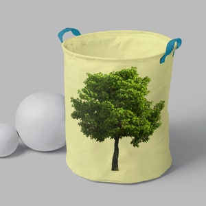 Real Leichhardt Pine Tree Cliparts, Tree Photoshop Overlays, Maple ...
