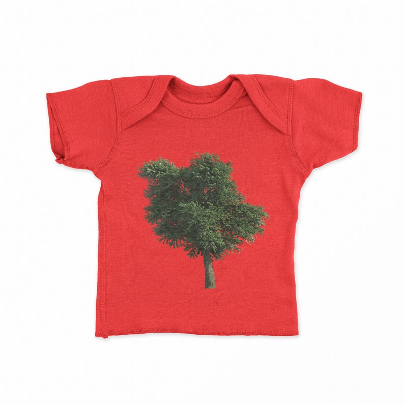 Real Cedar Tree Cliparts, Spanish Cedar Overlay Png, Realistic Look ...