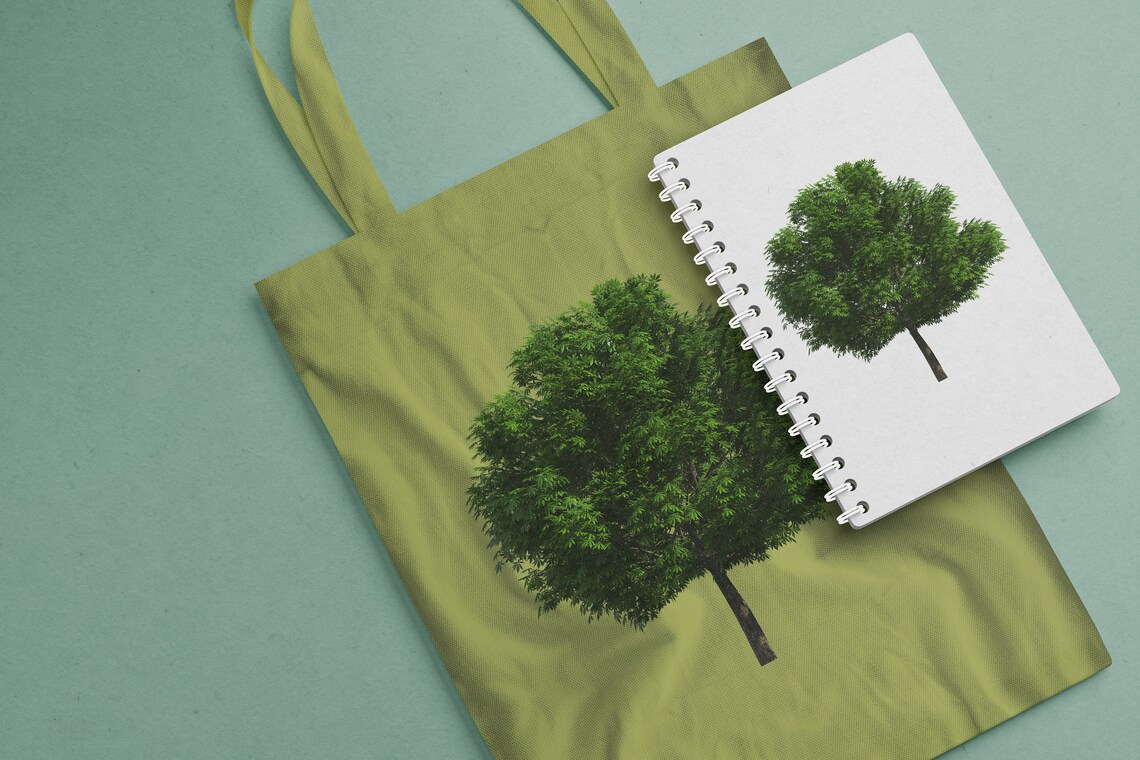 Real Ash Tree Cliparts Realistic Ash Overlay Bundles Png | Etsy