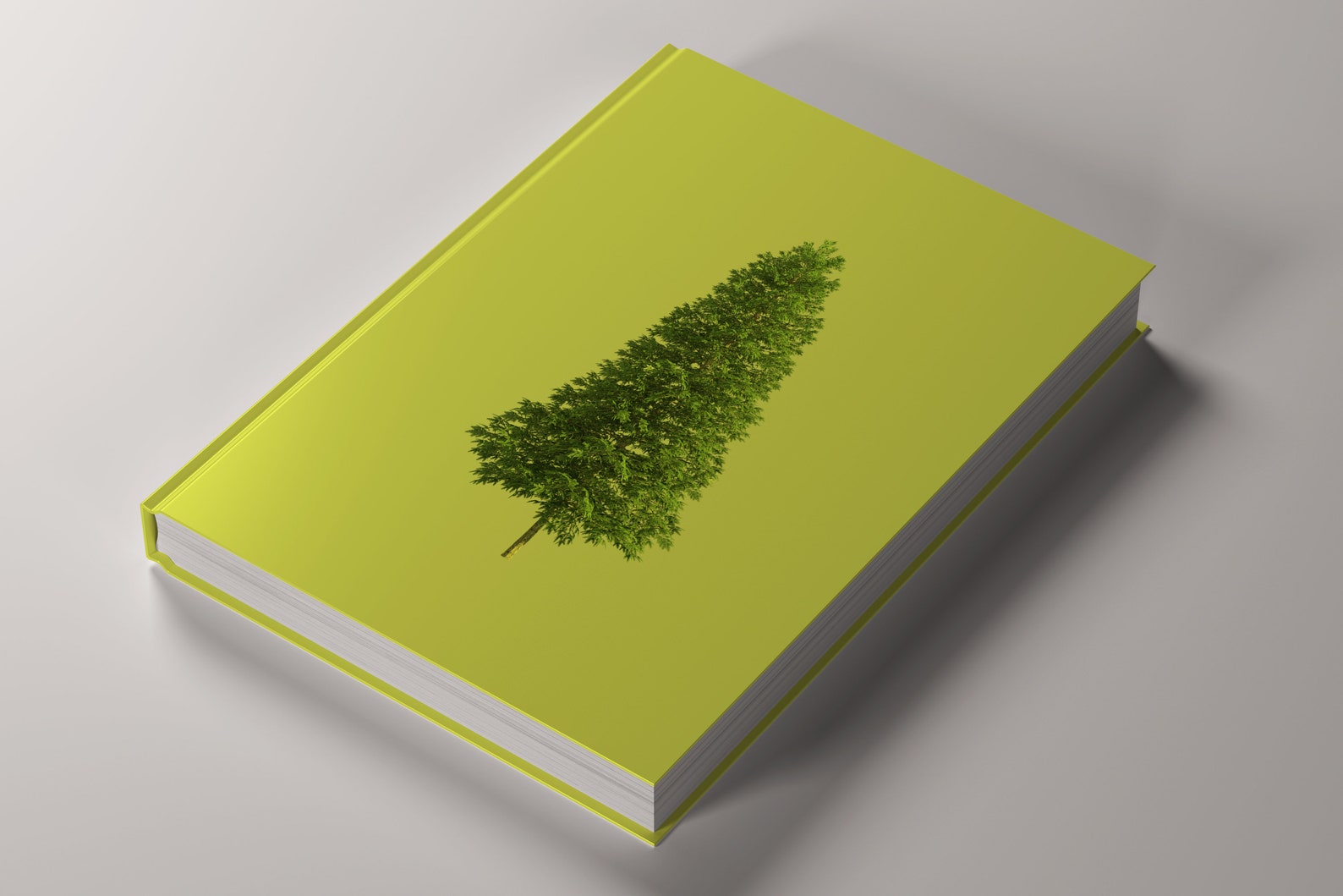 Real Tree Cliparts, Incense Cedar Tree Photoshop Overlay Png, Realistic ...