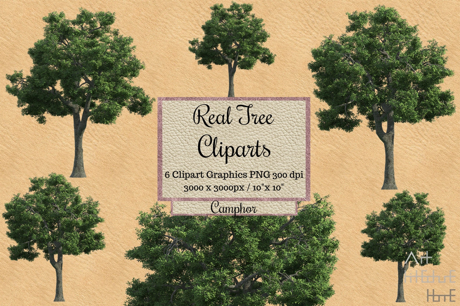 48 Real Tree Overlays Png, Landscape Transparent Cliparts Background ...