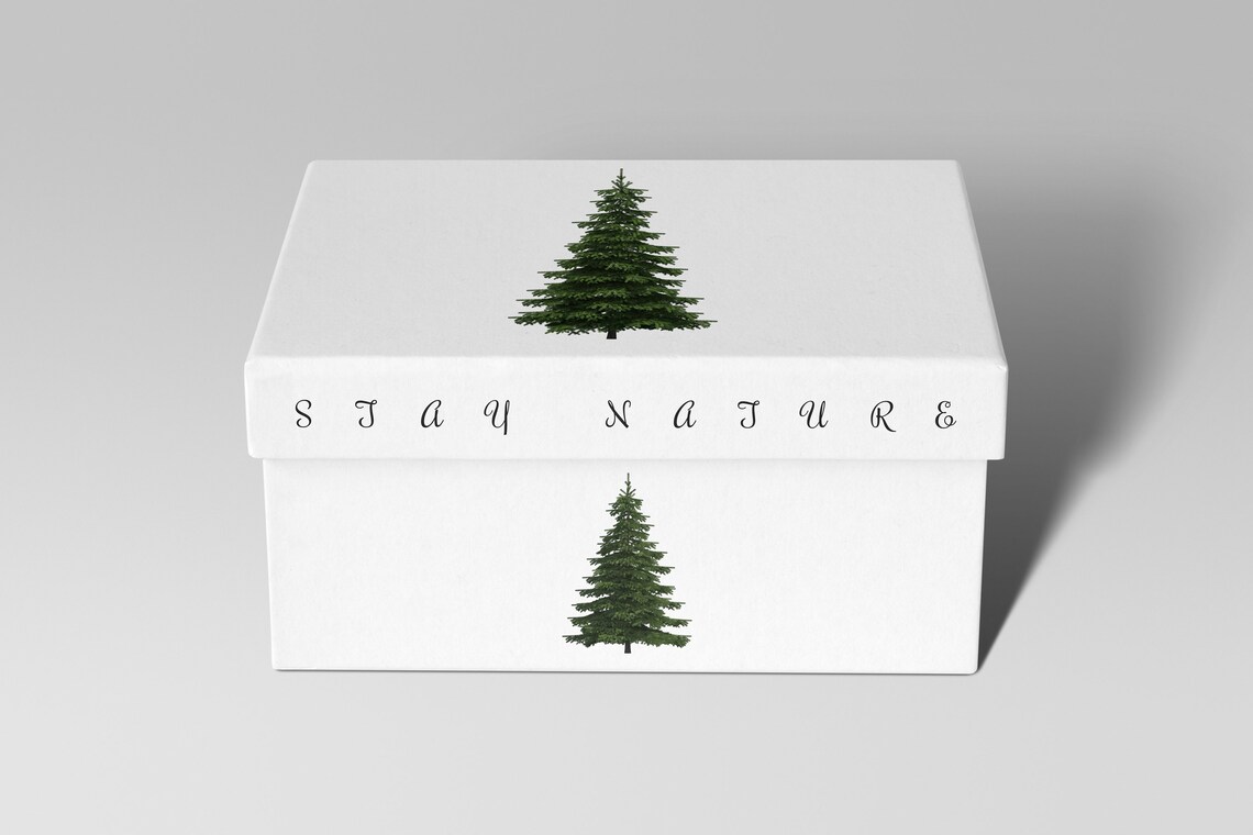 Real Fir Tree Cliparts Silver Tree Overlays Png Realistic - Etsy
