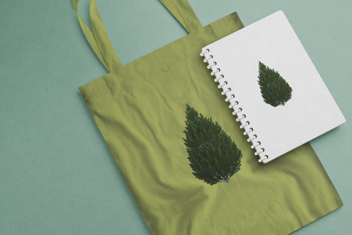 Real Hoop Pine Tree Cliparts, Realistic Tree Overlays Png, Spring Tree ...