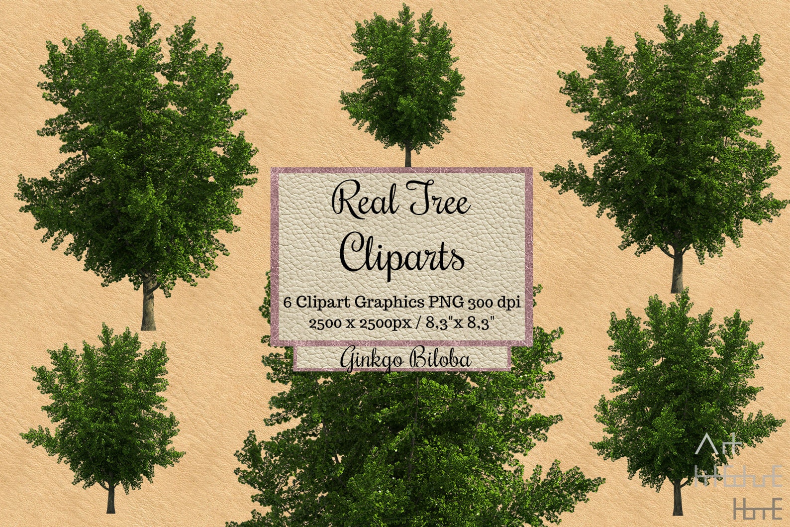 48 Real Tree Overlays Png, Landscape Transparent Cliparts Background ...