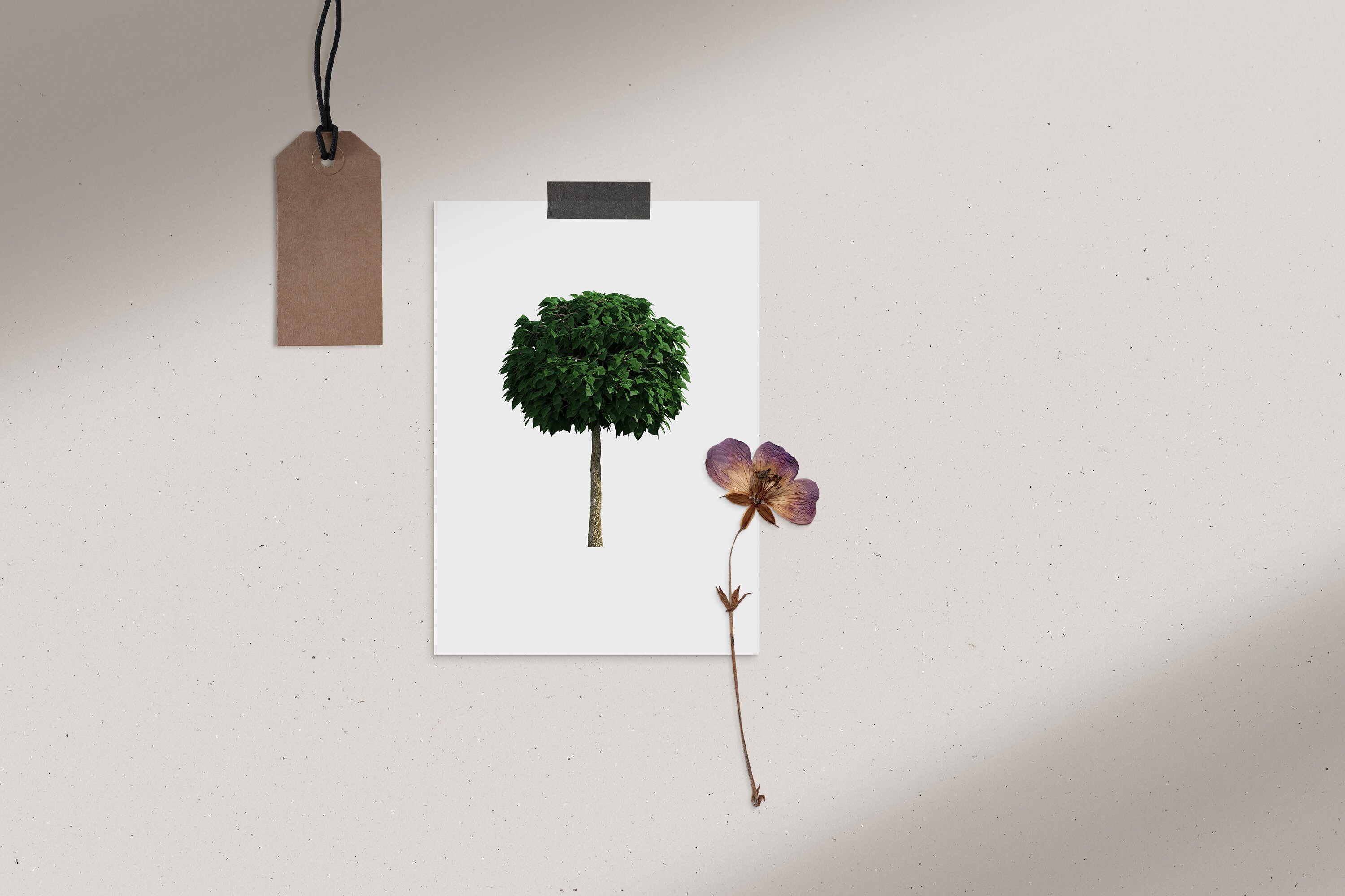 Real Tree Cliparts, Oroxylum Photoshop Overlays, Landscape Layout Png ...