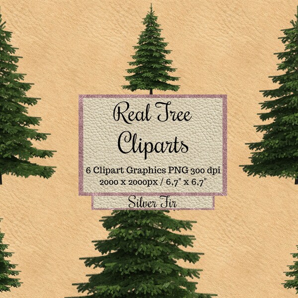 Seamless Tile TEXTURES, Geometric BRICK Patterns, Tileable Dollhouse ...