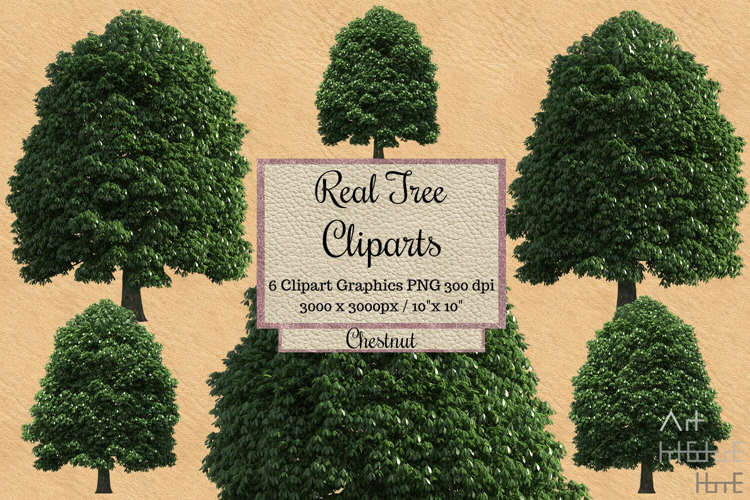 48 Real Tree Cliparts Png Transparent Overlay Background, Spring Trees ...