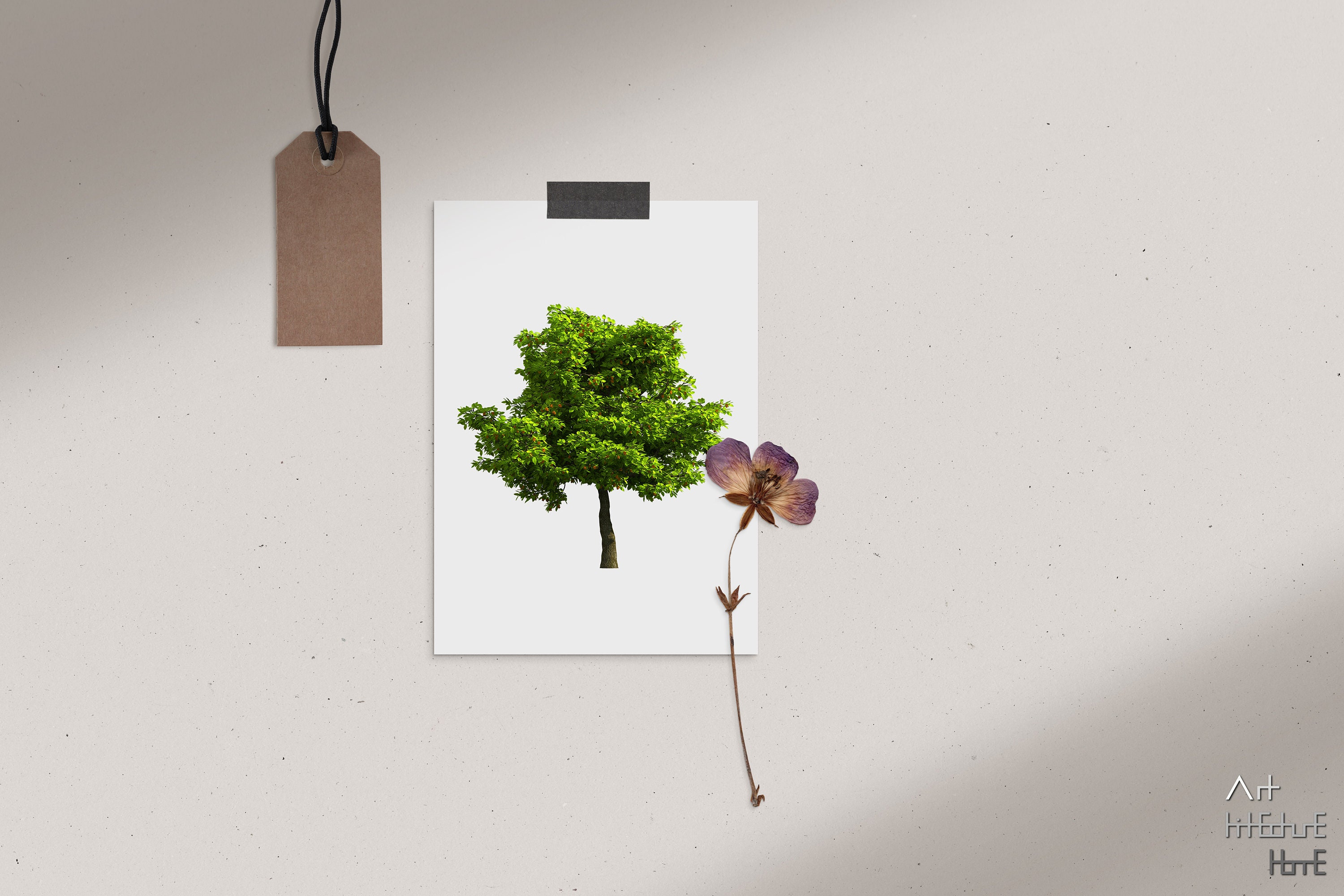 Real Leichhardt Pine Tree Cliparts, Tree Photoshop Overlays, Maple ...