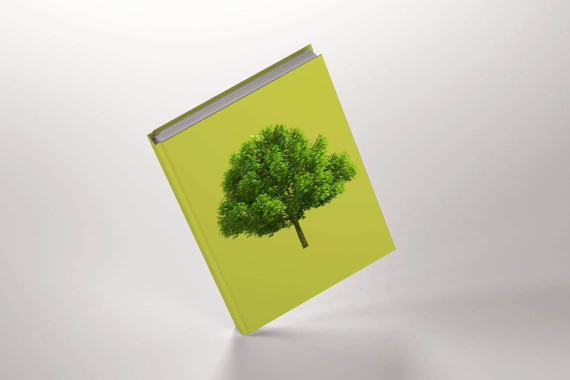 Real Ash Tree Cliparts, Realistic Ash Overlay Bundles Png, Tree ...