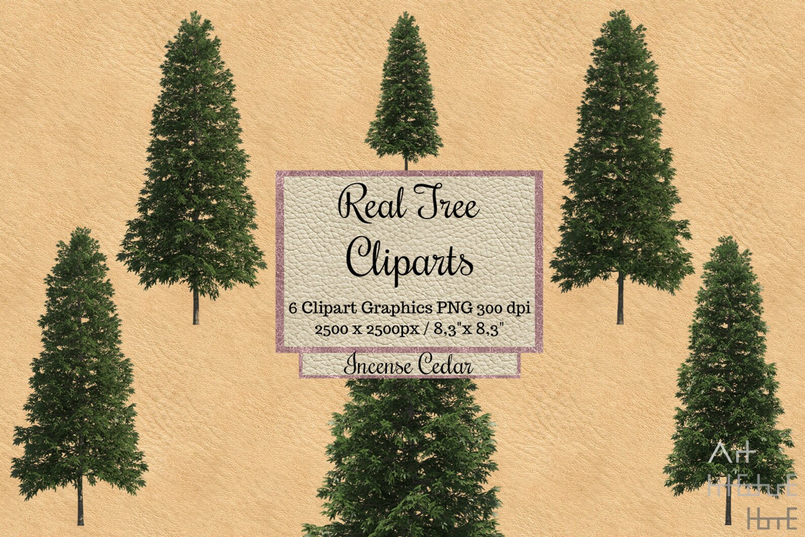48 Real Tree Clipart, Photoshop Overlays, Garden Landscape Layout ...