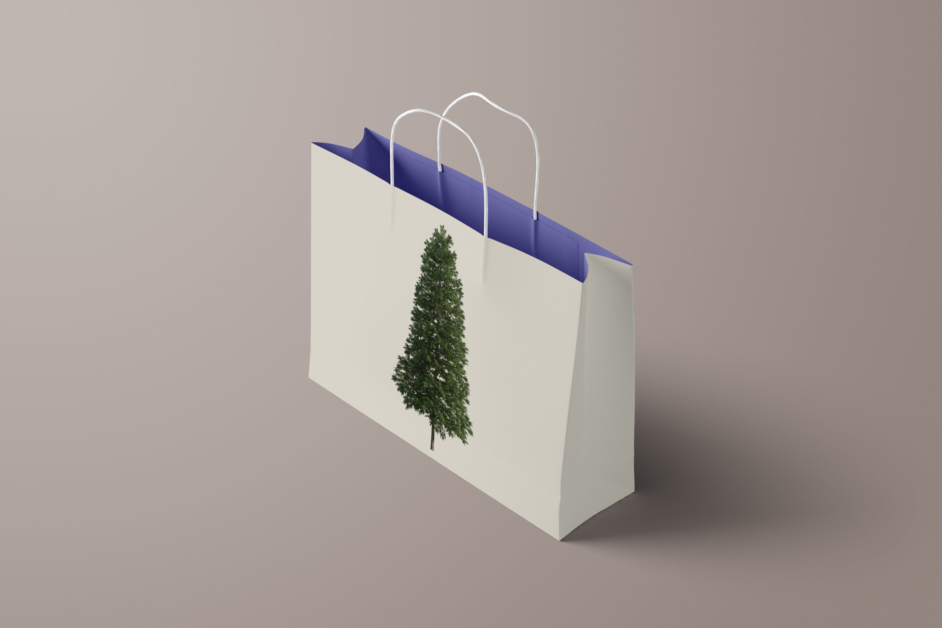 Real Tree Cliparts, Incense Cedar Tree Photoshop Overlay Png, Realistic ...