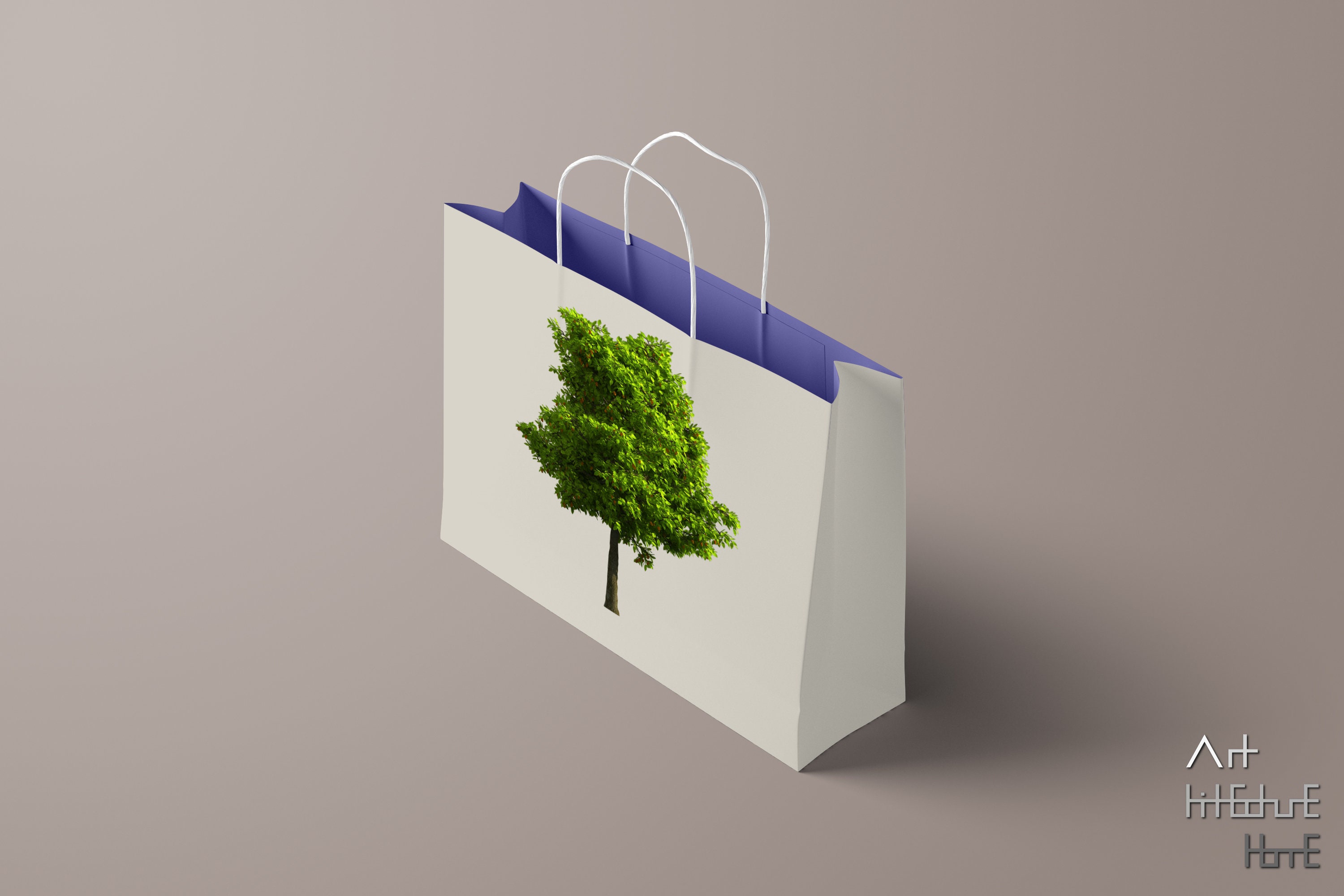 Real Leichhardt Pine Tree Cliparts, Tree Photoshop Overlays, Maple ...