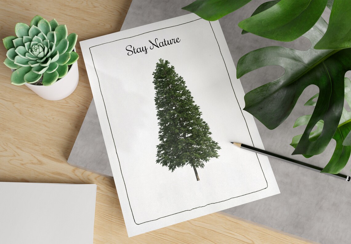 Real Tree Cliparts, Incense Cedar Tree Photoshop Overlay Png, Realistic ...