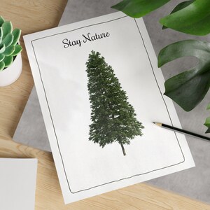 Real Tree Cliparts, Incense Cedar Tree Photoshop Overlay Png, Realistic ...