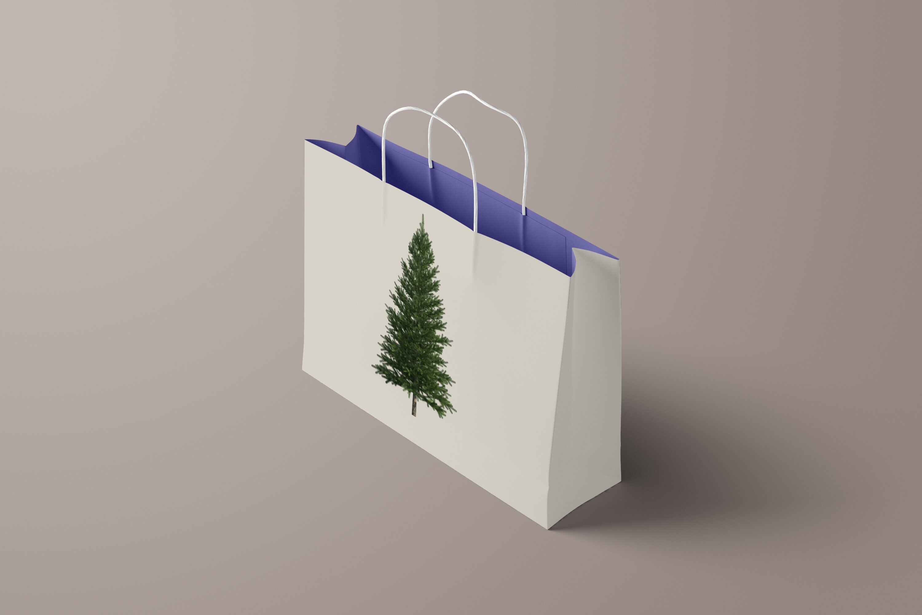 Real Fir Tree Cliparts, Siberian Tree Overlays Png, Realistic Look ...