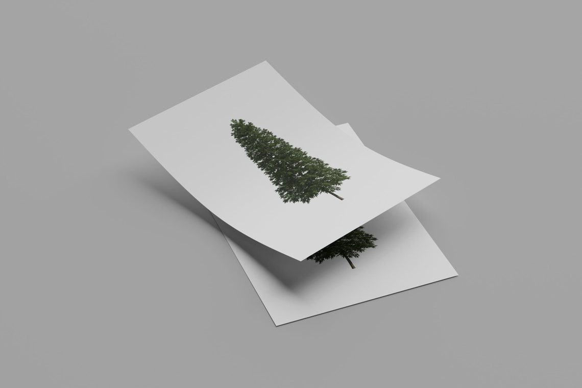 Real Tree Cliparts Incense Cedar Tree Photoshop Overlay Png - Etsy