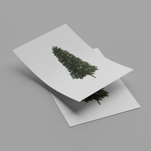 Real Tree Cliparts, Incense Cedar Tree Photoshop Overlay Png, Realistic ...
