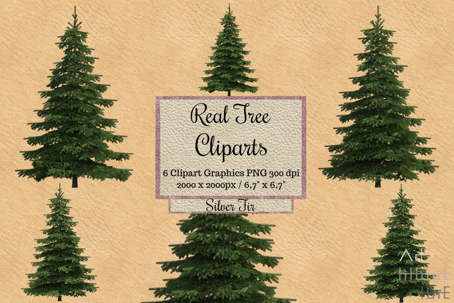 48 Real Tree Cliparts Png Transparent Overlay Background, Spring Trees ...