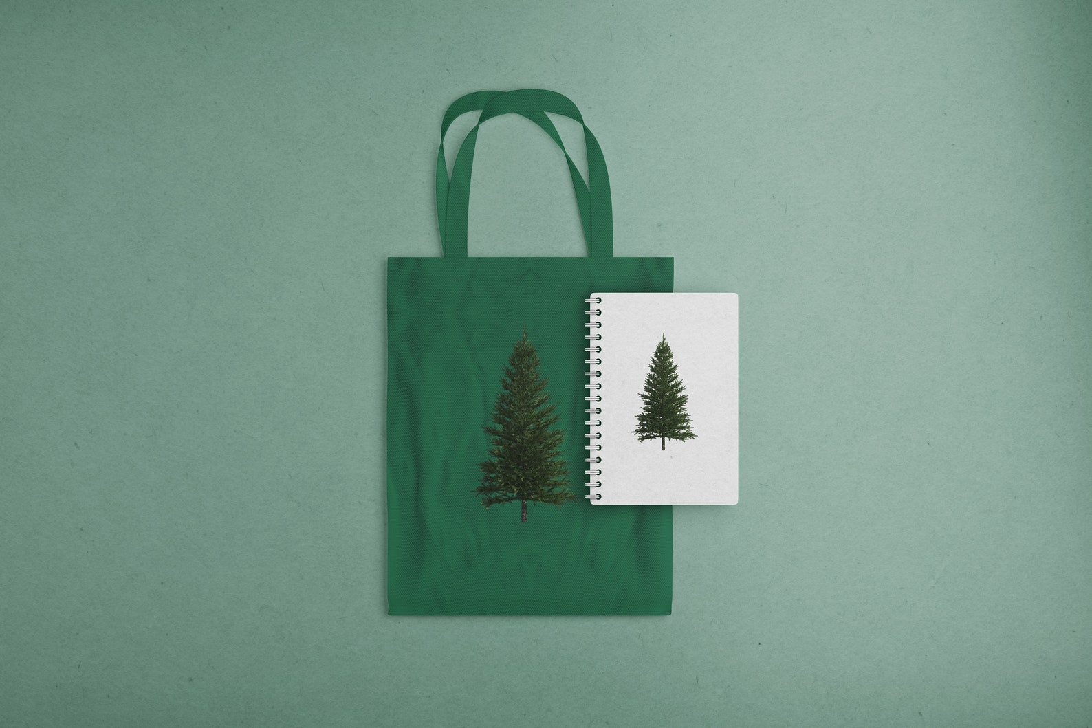 Real Fir Tree Cliparts, Siberian Tree Overlays Png, Realistic Look ...