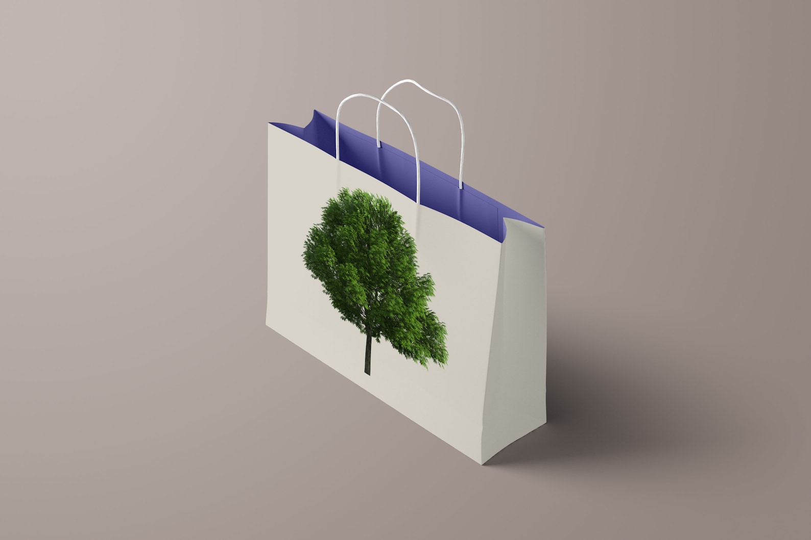 Real Ash Tree Cliparts, Realistic Ash Overlay Bundles Png, Tree ...