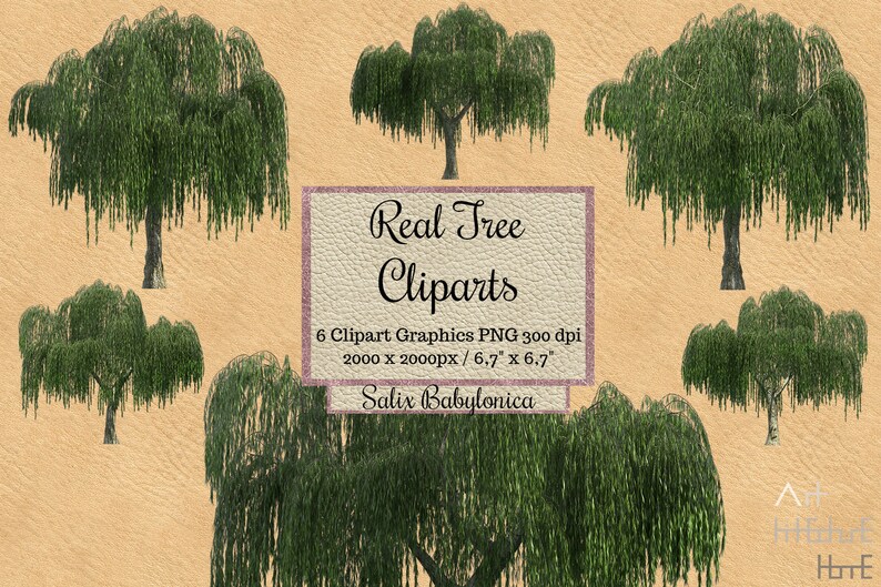48 Real Tree Cliparts, Photoshop Overlay, Landscape Layout, Garden ...