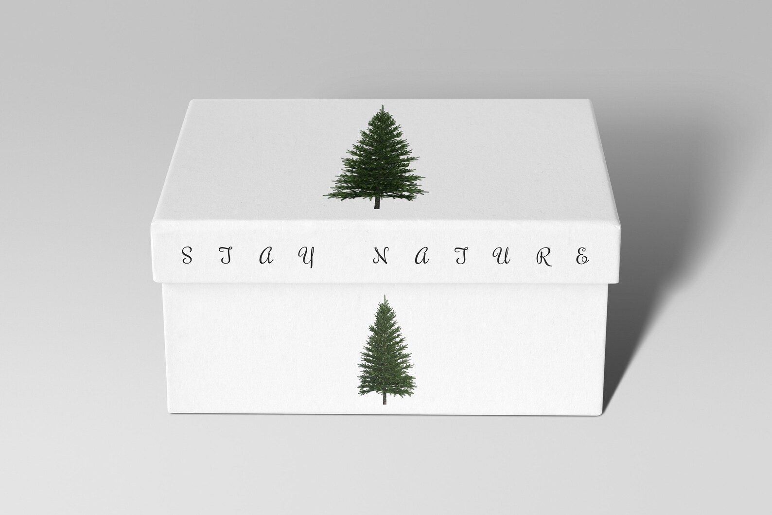 Real Fir Tree Cliparts, Siberian Tree Overlays Png, Realistic Look ...
