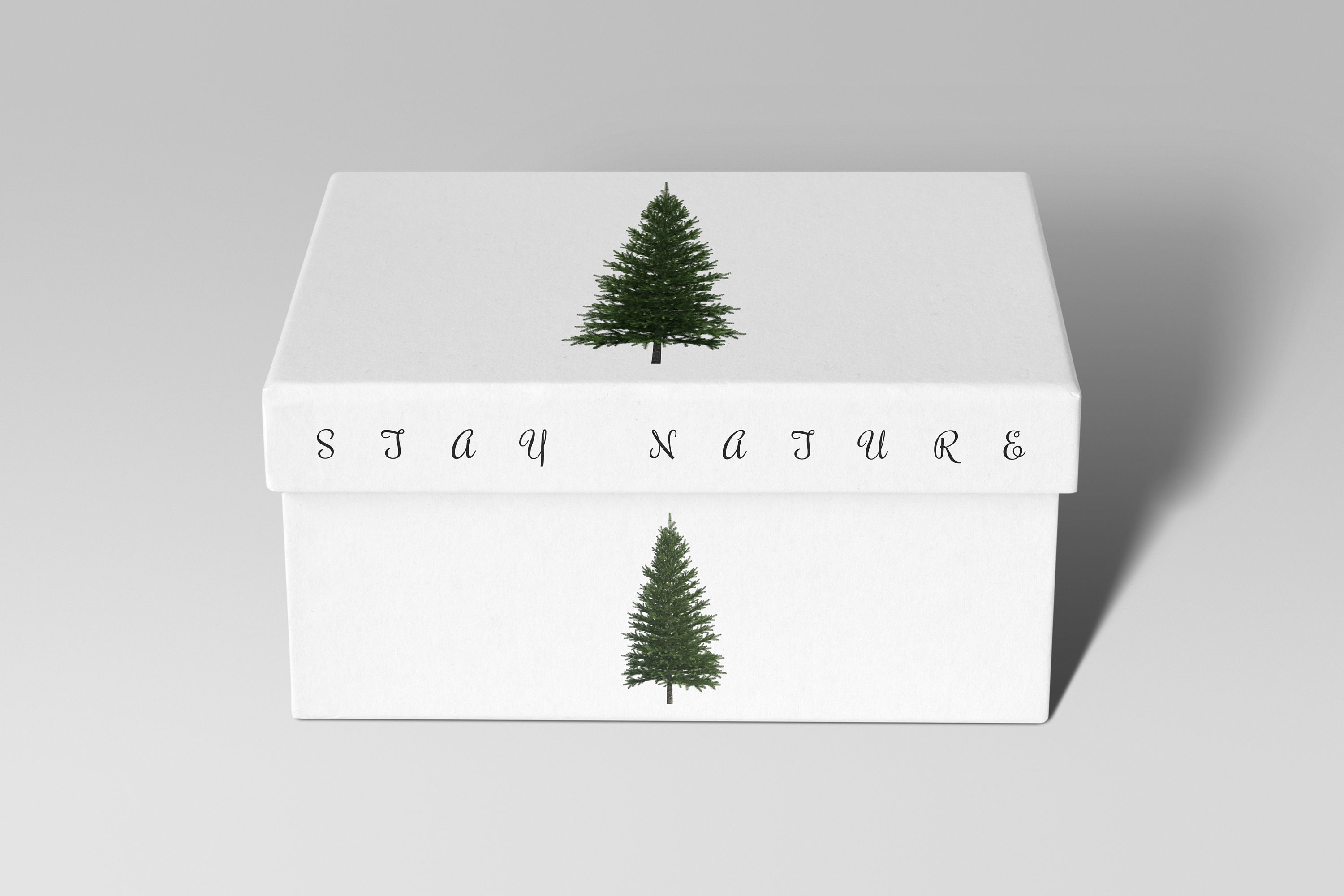 Real Fir Tree Cliparts, Siberian Tree Overlays Png, Realistic Look ...
