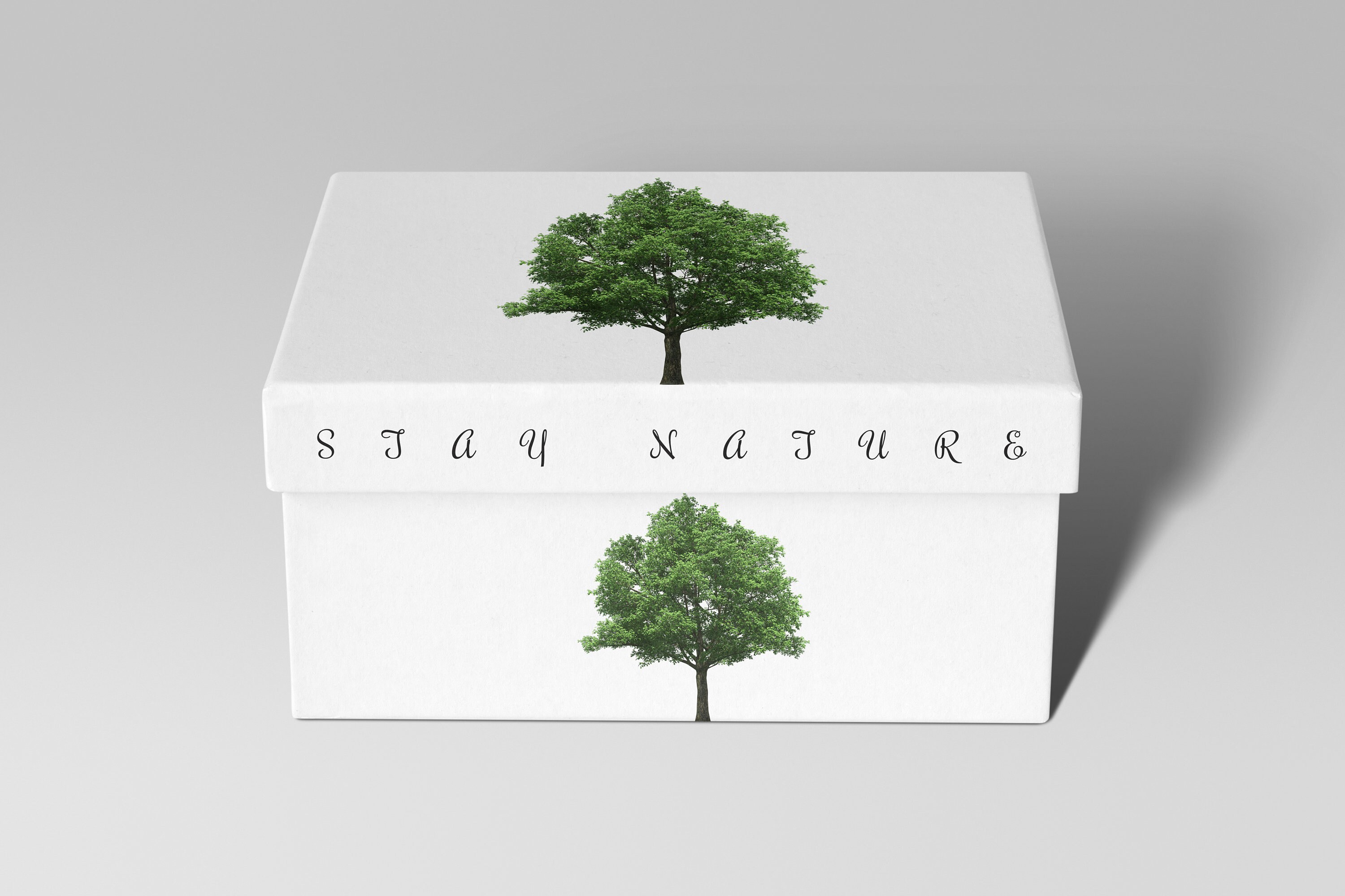 Real Walnut Tree Cliparts, Black Walnut Trees Png, Realistic Look Tree ...