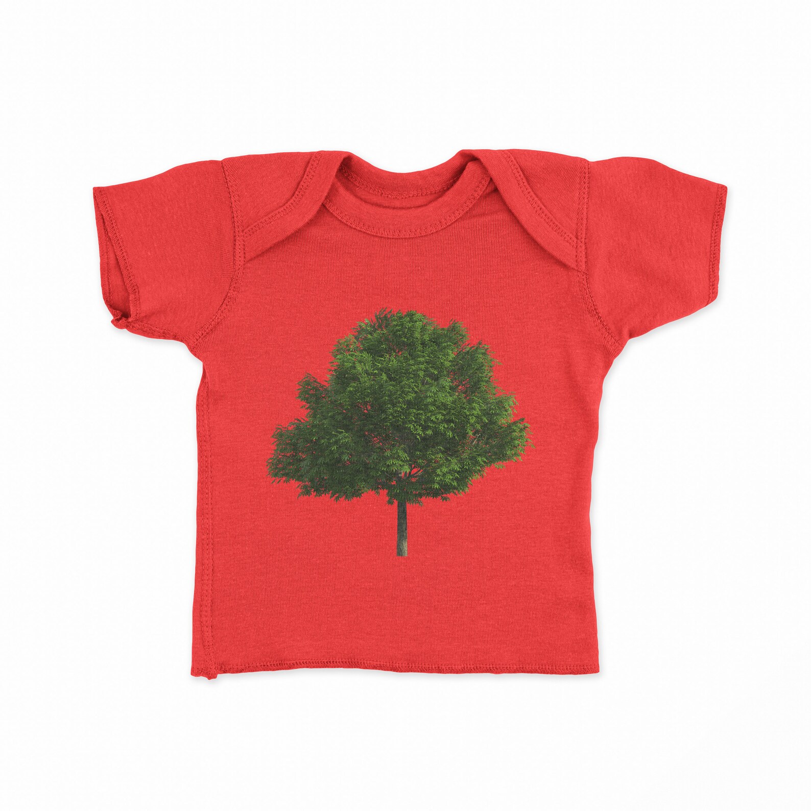 Real Ash Tree Cliparts, Realistic Ash Overlay Bundles Png, Tree ...