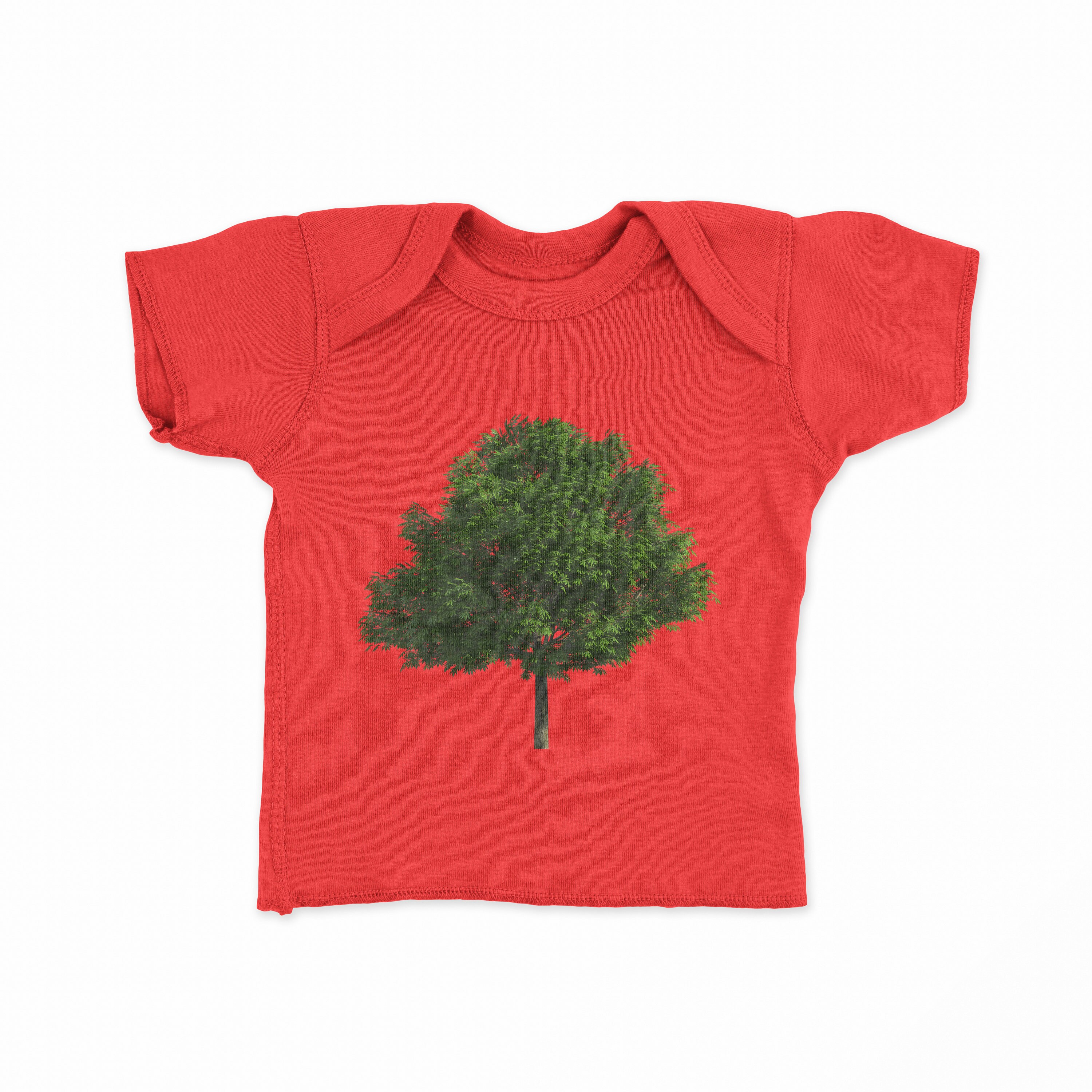 Real Ash Tree Cliparts, Realistic Ash Overlay Bundles Png, Tree ...